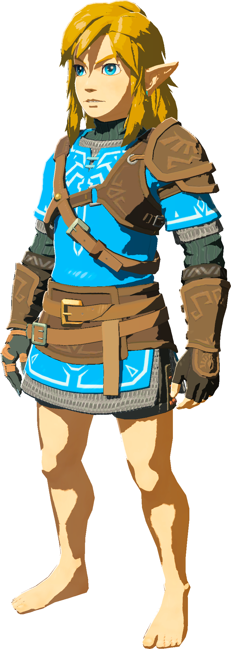 Champions Leathers Zelda Wiki