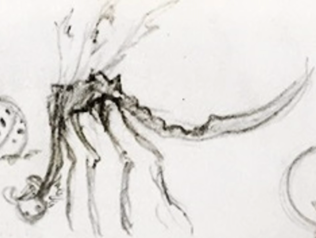 File:Nosk Concept Art.png - Hollow Knight Wiki