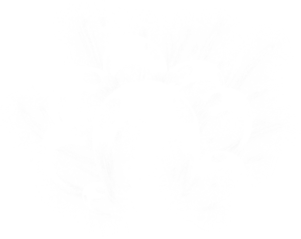 Howling Wraiths - Hollow Knight Wiki