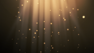 Menu Styles (Hollow Knight) - Hollow Knight Wiki