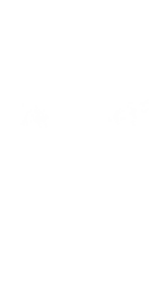 Monomon the Teacher - Hollow Knight Wiki