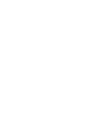 King's Brand - Hollow Knight Wiki