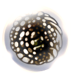 Fragile Strength - Hollow Knight Wiki