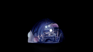 Cornifer - Hollow Knight Wiki