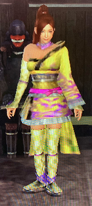 Lady Kita - The Koei Tecmo Wiki