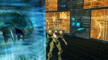 Metroid (species) - Metroid Wiki