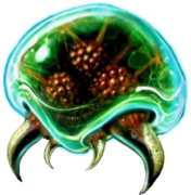 Metroid (species) - Metroid Wiki