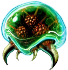 Metroid (species) - Metroid Wiki