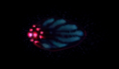 Ing Larva Swarm - Metroid Wiki