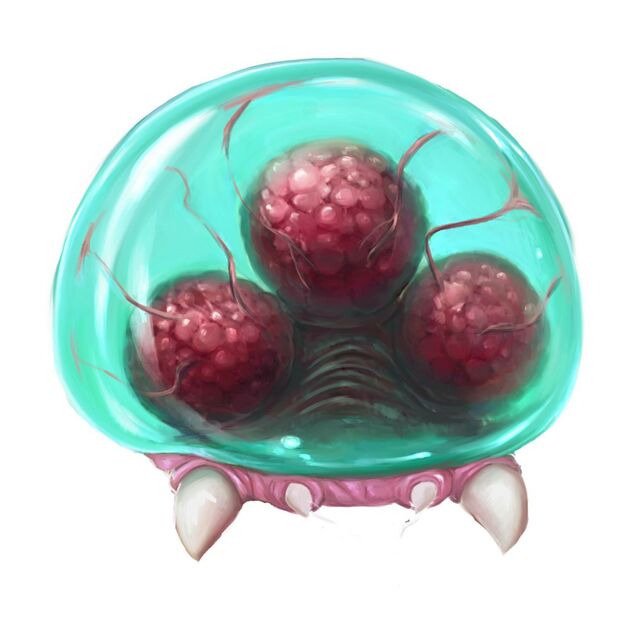 Metroid Hatchling - Metroid Wiki