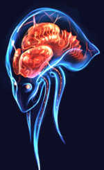 Leviathan - Metroid Wiki