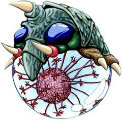 Metroid (species) - Metroid Wiki