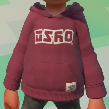 File:S2 Zekko Hoodie front.jpg - Inkipedia, the Splatoon wiki