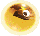 File:Golden Egg.png - Inkipedia, the Splatoon wiki