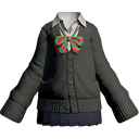 File:S2 Gear Clothing School Cardigan.png - Inkipedia, the Splatoon wiki
