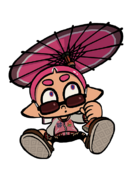 Choco Clogs - Inkipedia, the Splatoon wiki