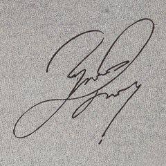 Nami - Inkipedia, the Splatoon wiki