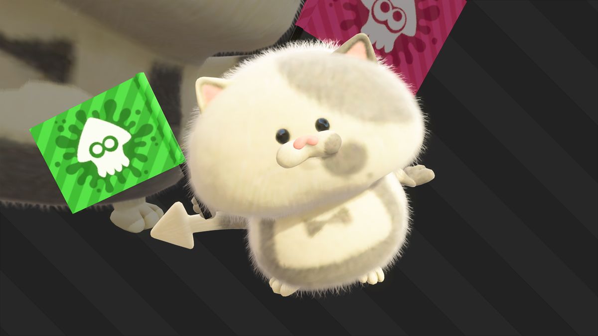 File:S2 Li'l Judd with flag.jpg - Inkipedia, the Splatoon wiki