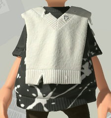 Dark Distressed Vest - Inkipedia, the Splatoon wiki