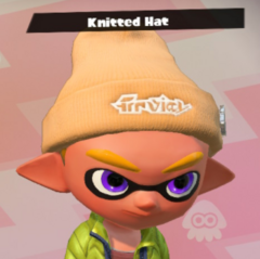 Knitted Hat - Inkipedia, the Splatoon wiki