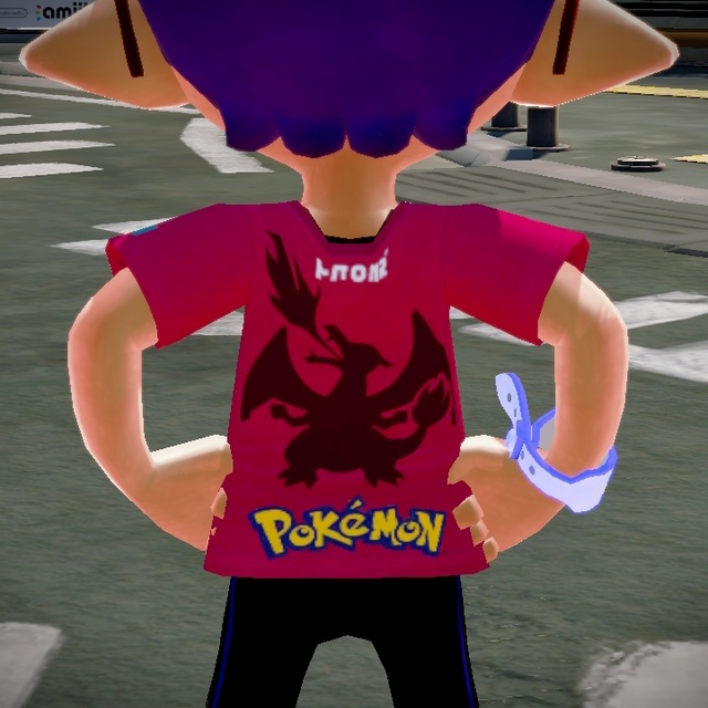 File:S Splatfest Tee Pokémon Red back.jpg - Inkipedia, the Splatoon wiki