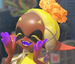 Deep Cut/Quotes - Inkipedia, the Splatoon wiki