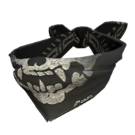 Skull Bandana - Inkipedia, the Splatoon wiki