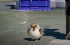 Category:Animal - Inkipedia, the Splatoon wiki