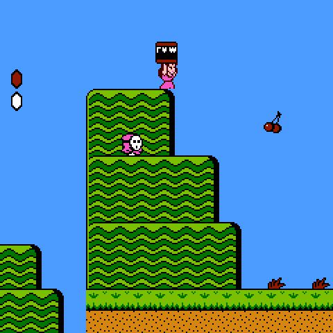 Super Mario Bros. 2/Gameplay — StrategyWiki, the video game walkthrough ...