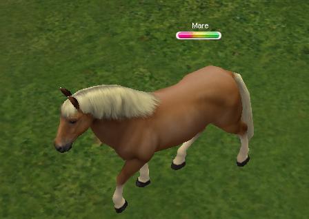 Pawly Pets: My Animal Hospital/Extra Characters — StrategyWiki ...