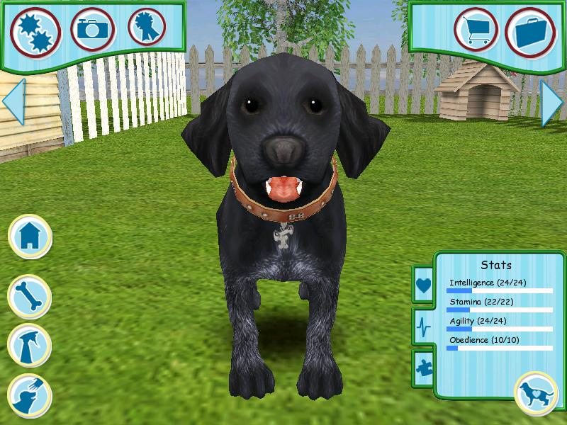 Dogz and Catz/Walkthrough — StrategyWiki | Strategy guide and game ...