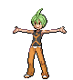 Pokémon Platinum/Elite Four rematch — StrategyWiki | Strategy guide and ...