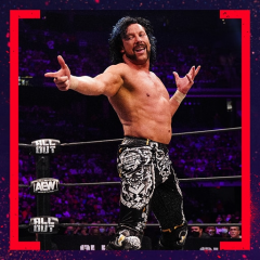 Category:AEW: Fight Forever files — StrategyWiki | Strategy guide and game reference wiki