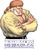 Kaiser Knuckle/Gonzales — StrategyWiki | Strategy guide and game ...