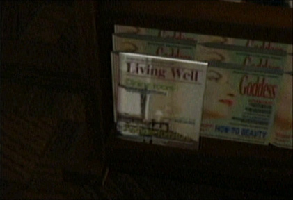 File:Dead rising Lifestyle Magazine book.jpg — StrategyWiki | Strategy ...