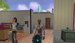 Category:The Sims 2 (console) images — StrategyWiki | Strategy guide ...