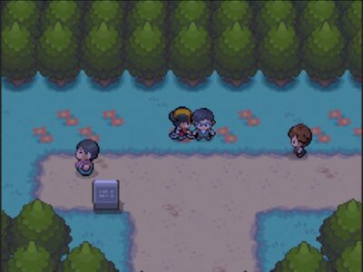 Pokémon HeartGold and SoulSilver/Routes 36 and 37 — StrategyWiki ...