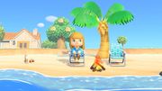 Animal Crossing: New Horizons/Camera — StrategyWiki | Strategy guide ...