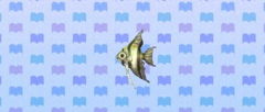 Category:Animal Crossing: New Leaf fish images — StrategyWiki, the ...