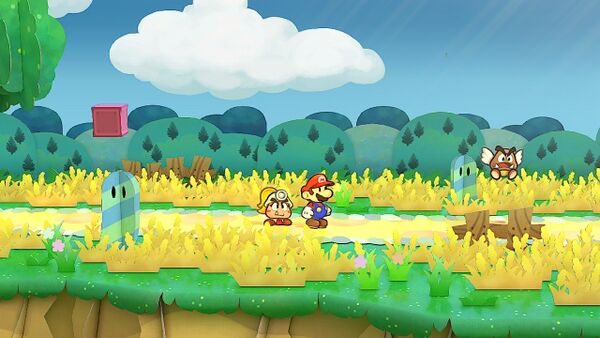 Paper Mario: The Thousand-Year Door/Chapter 1: Castle and Dragon ...