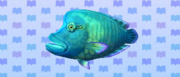 Category:Animal Crossing: New Leaf fish images — StrategyWiki, the ...