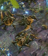 Category:StarCraft II: Heart of the Swarm files — StrategyWiki ...