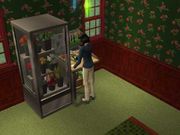 The Sims 2: Open for Business/Hobbies — StrategyWiki | Strategy guide ...
