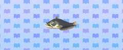 Category:Animal Crossing: New Leaf fish images — StrategyWiki, the ...
