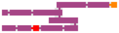 Category:Castlevania: Order of Ecclesia images — StrategyWiki, the ...