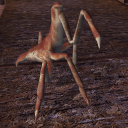 Star Wars: Knights of the Old Republic/Great Walkway — StrategyWiki ...