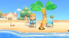 Animal Crossing: New Horizons/Camera — StrategyWiki | Strategy guide ...