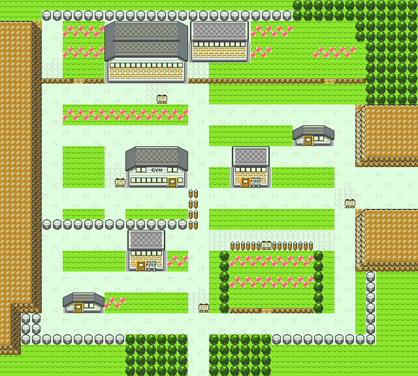 Pokémon Gold and Silver/Pewter City — StrategyWiki | Strategy guide and ...