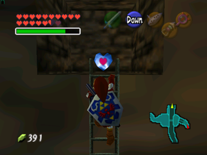 The Legend of Zelda: Ocarina of Time/Heart Containers — StrategyWiki ...