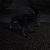 Star Wars: Knights of the Old Republic/Shyrack Caves — StrategyWiki ...